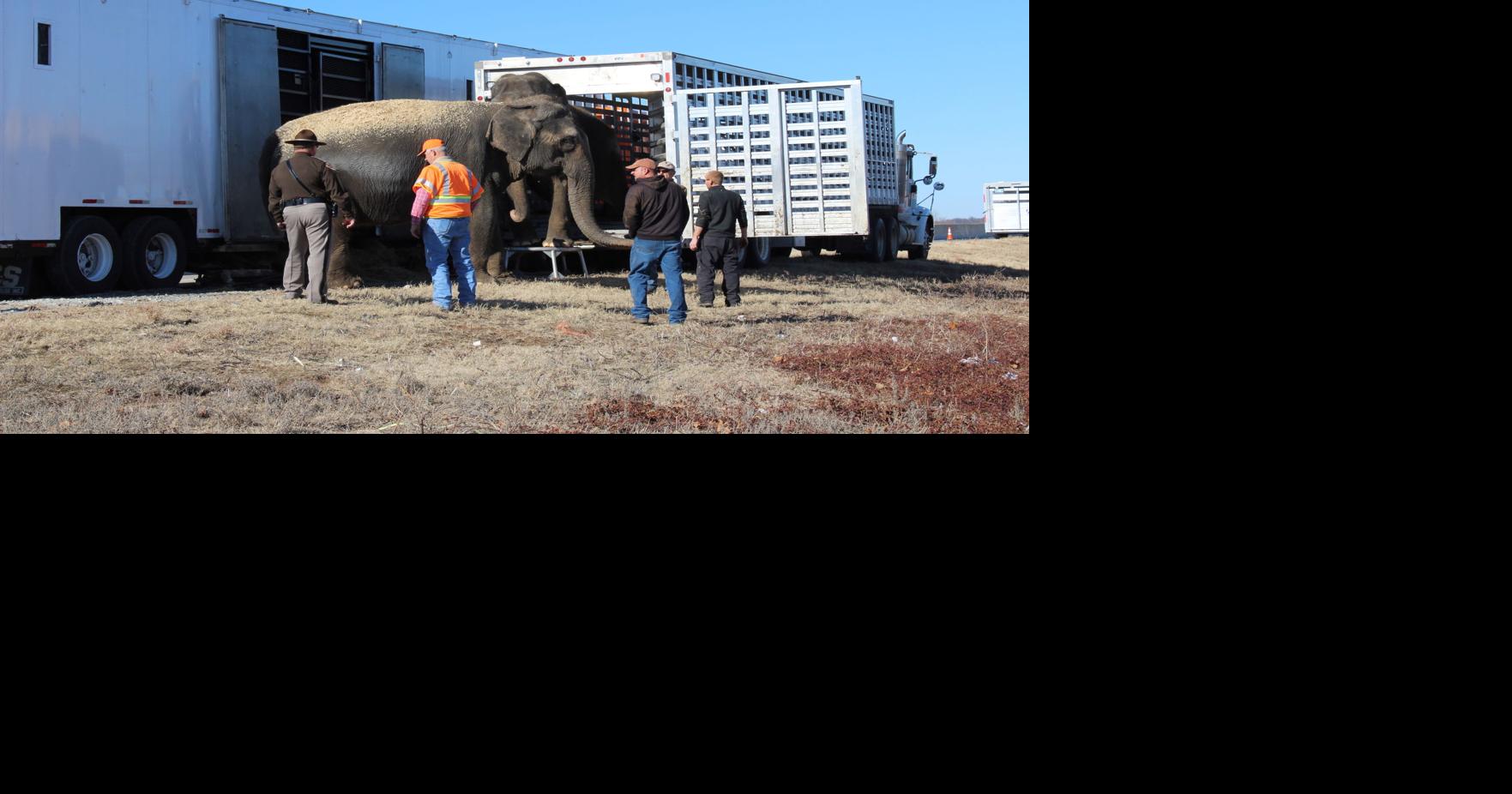 Stalled vehicle hauling elephants blocks highway lane outside Eufaula