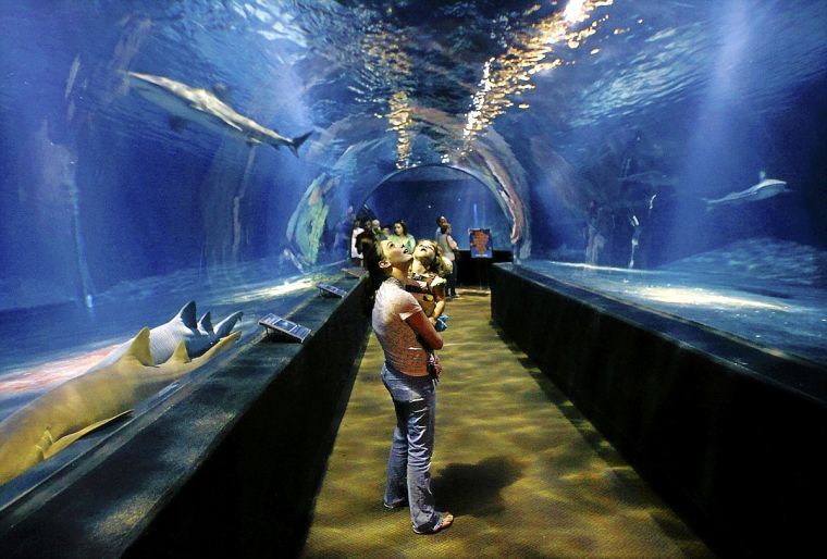 16 things to do or explore in Oklahoma for spring break | Lifestyles ...