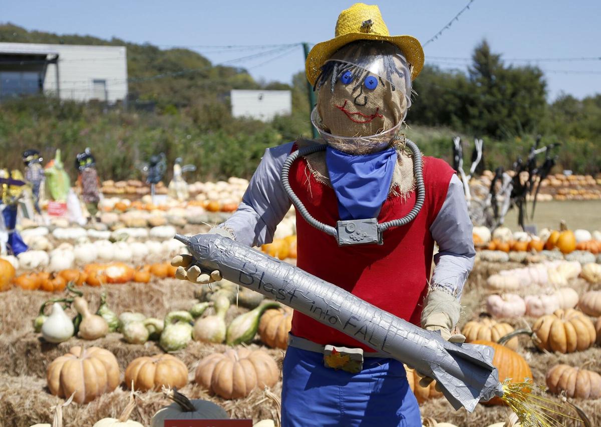 Botanic garden’s scarecrow show set, accepting entries