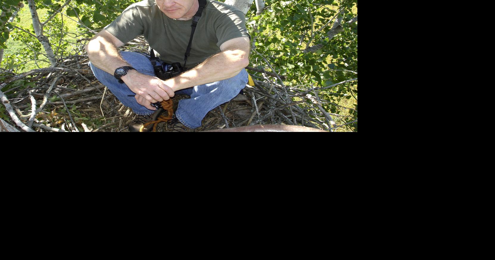 Bald eagle recovery leader Steve Sherrod dies at age 76