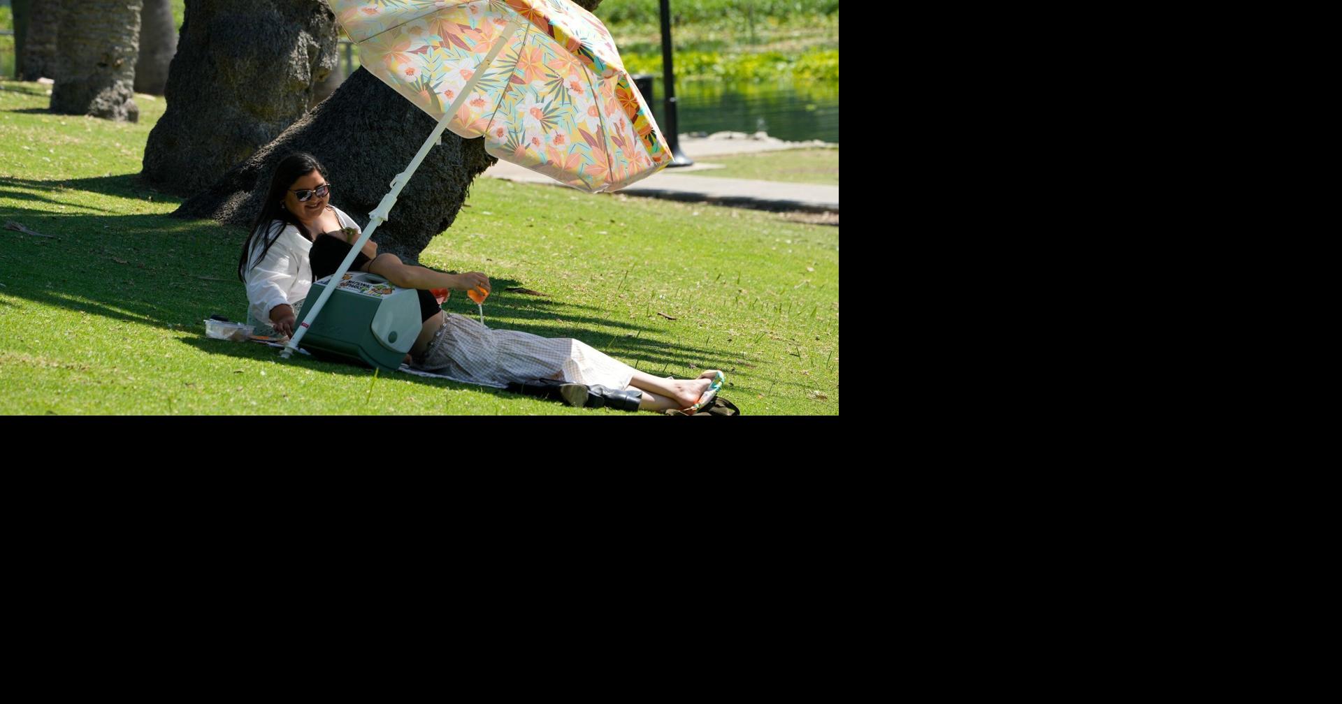 World Sees Effects of Record High Temperatures