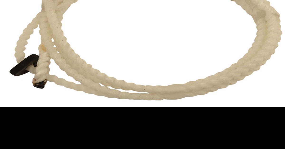 Outdoors Gadgets & Gear: The dog trainer's "Wonder Lead"