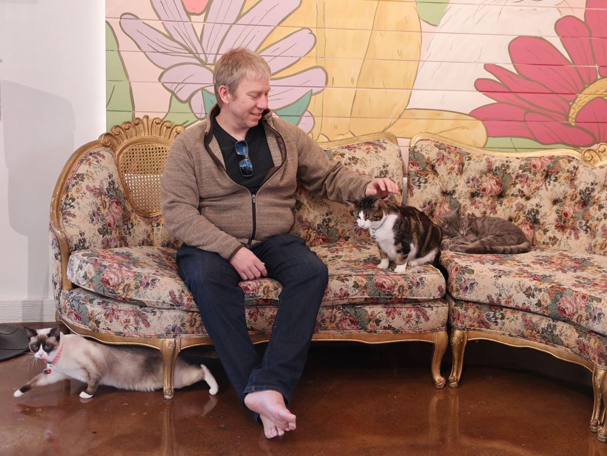 First cat cafe, Don't Stress Meowt, opens in Tulsa