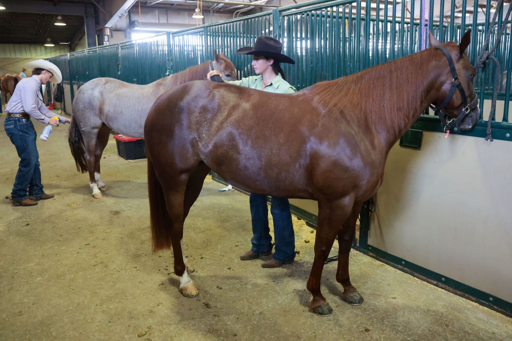 Breeder's Invitational