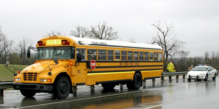 School bus hits vehicle; no injuries