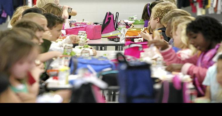 Modest state investment could provide school meals: Opinion