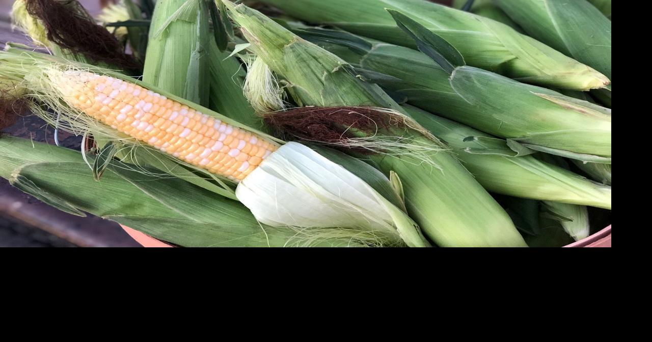 Be a cornivore: Celebrate locally grown sweet summer corn with these ...