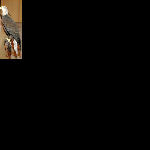 People & Places: Sutton Avian Research Center