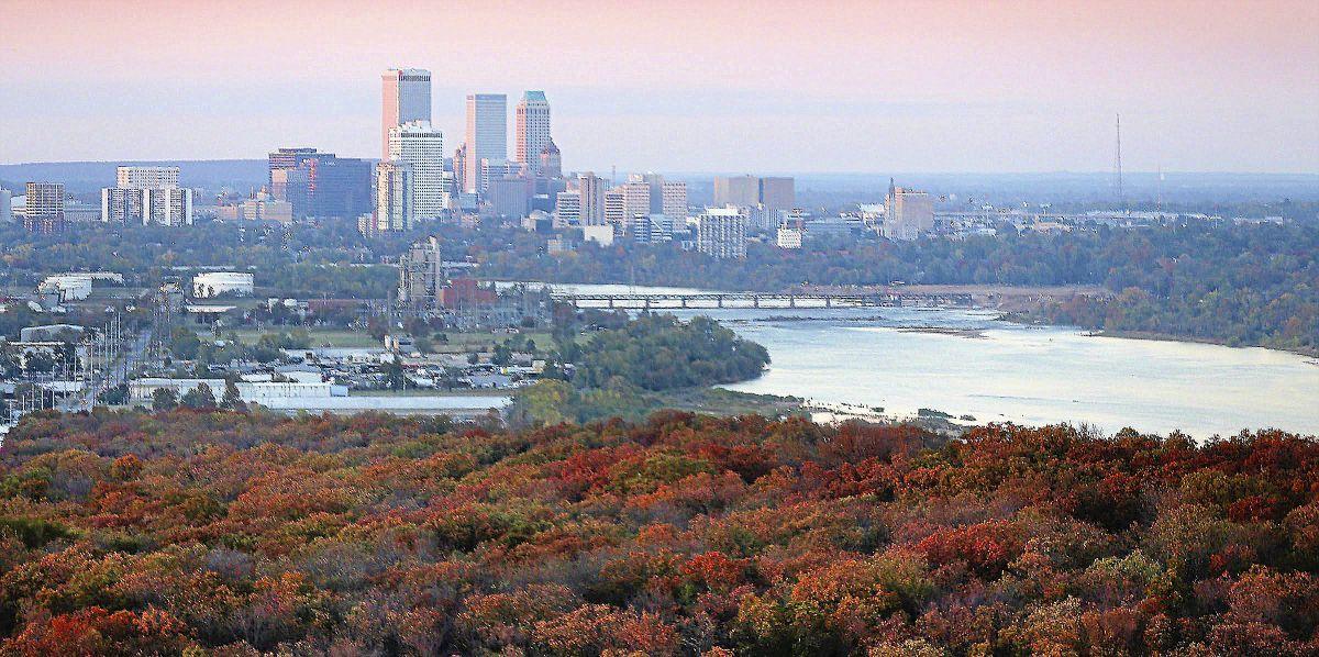 Photo Gallery: On top of Turkey Mountain, urban wilderness in the news ...