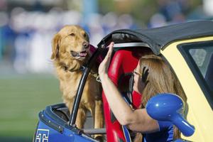 Meet TU's new mascot