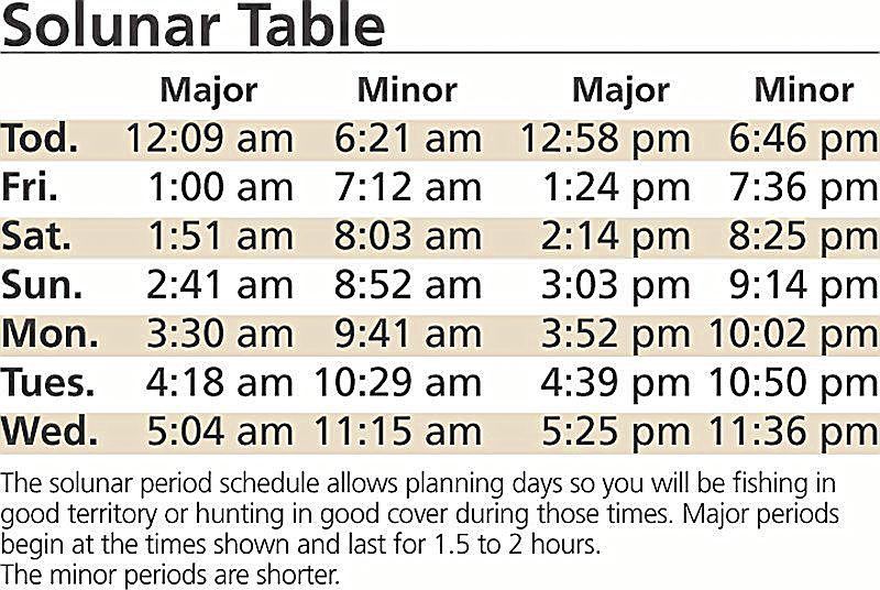 The Outdoors: Fishing forecast has sand bass on jigs deep, small baits ...
