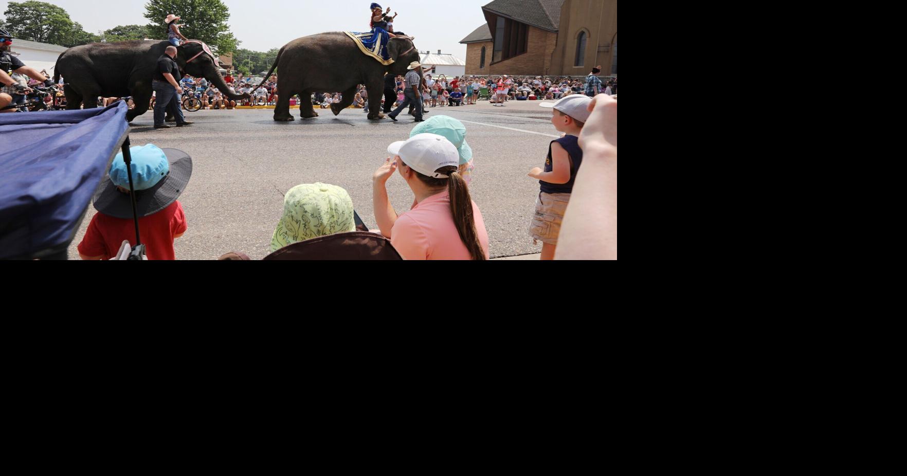 Montana elephant escape draws fine from USDA