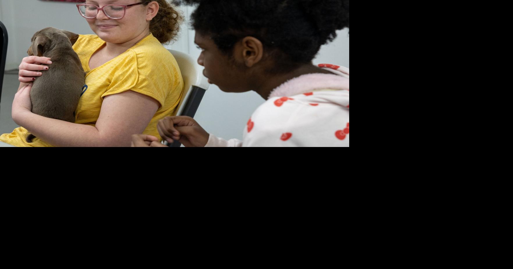 Letter: Be kind to dogs