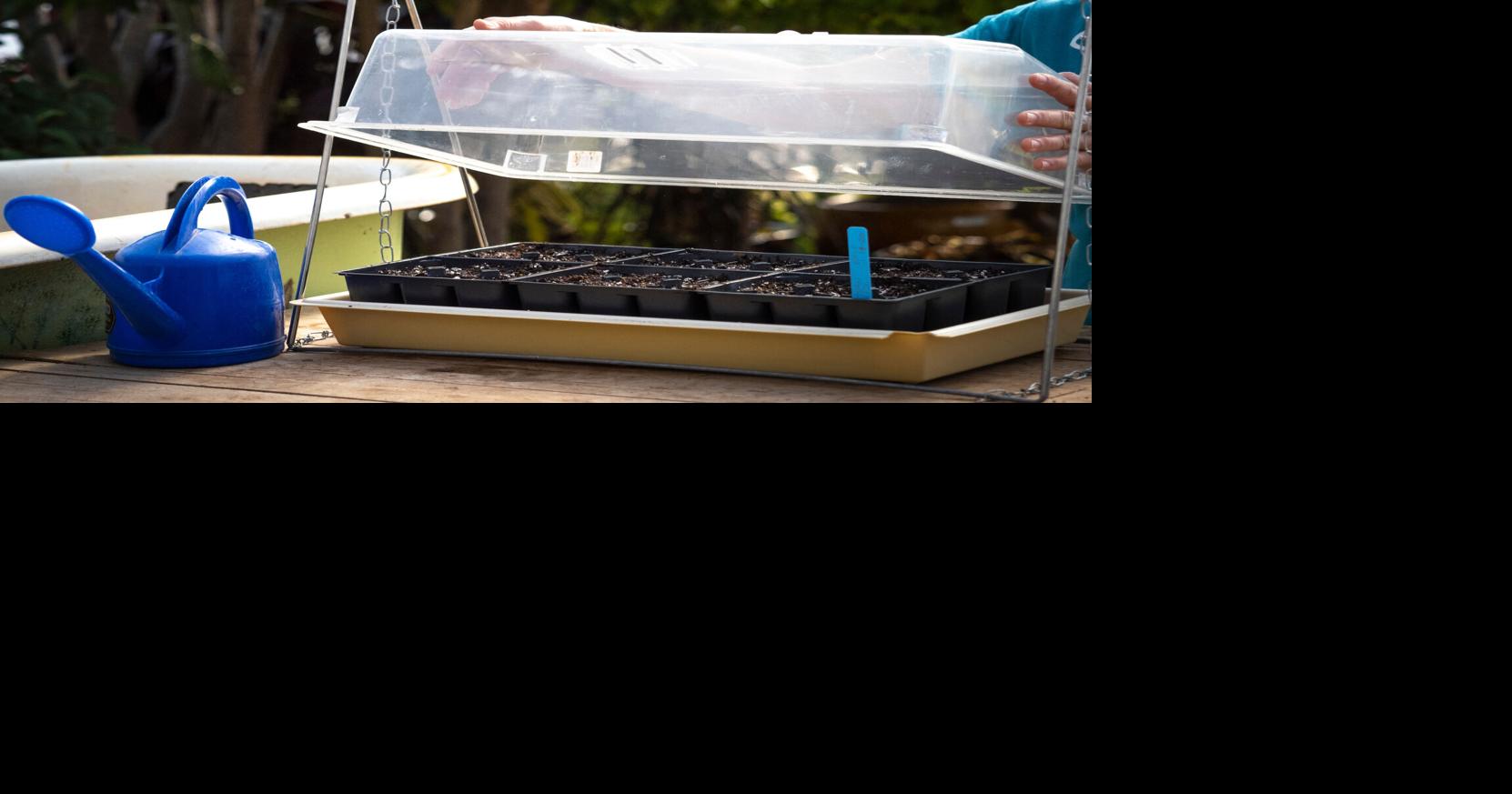 Master Gardener: Almost time to start cool-season vegetable garden
