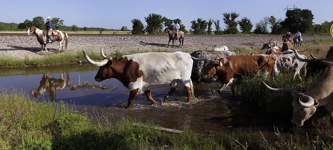 Will Rogers Stampede, rodeo set for 65th annual event in Claremore
