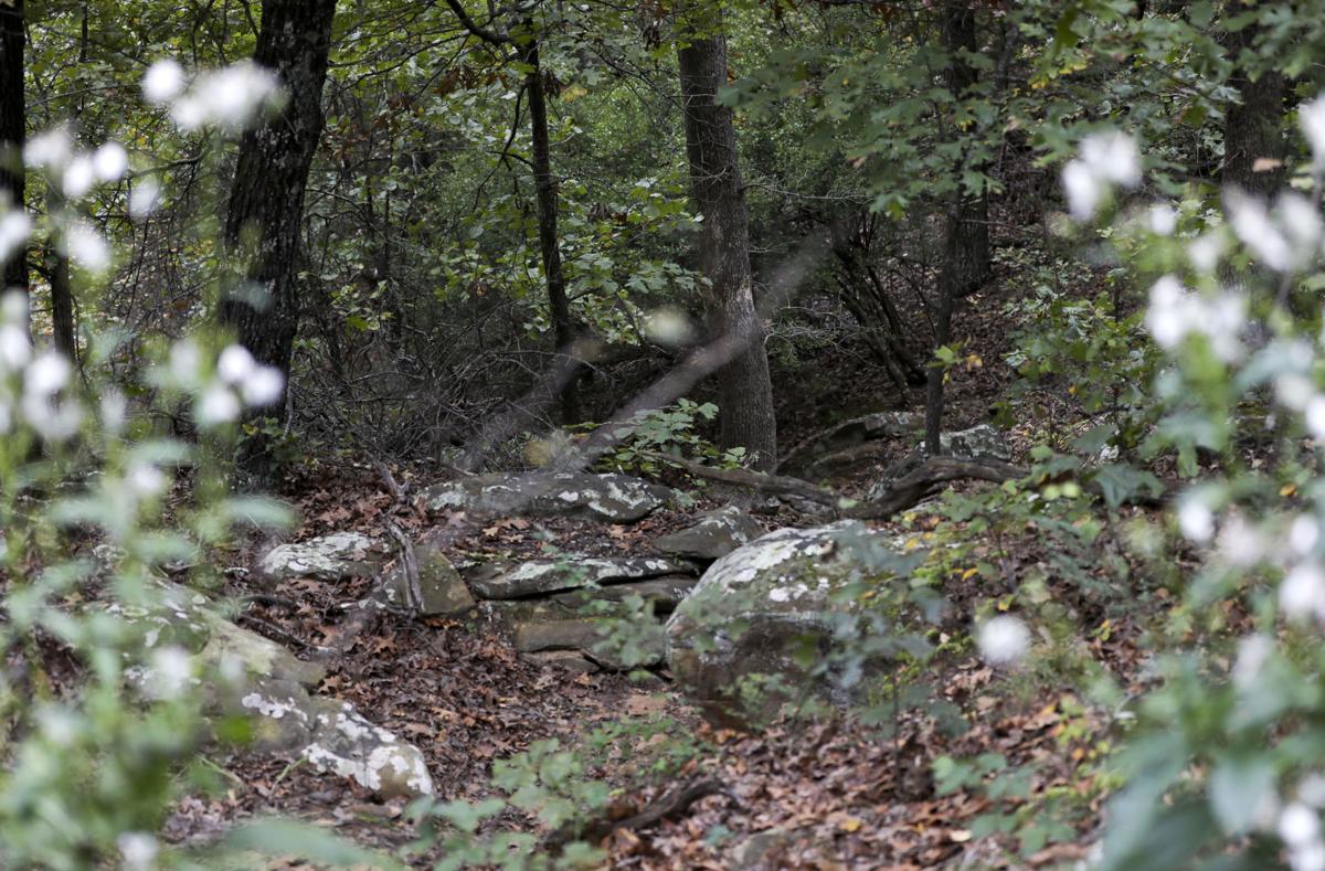 Ancient Trail Trek registration open