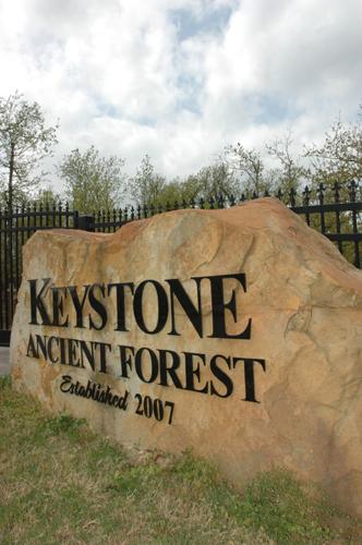 Hiking this Saturday at Keystone Ancient Forest