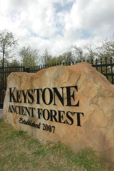 Hiking this Saturday at Keystone Ancient Forest