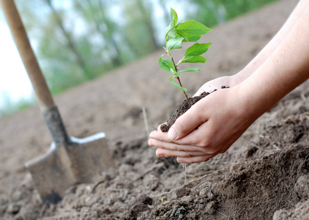 Notable events in the history of Earth Day