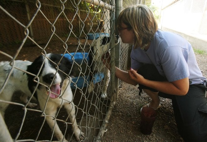 Tulsa SPCA rescues 71 mistreated animals from central Oklahoma