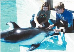 Student attends SeaWorld camp