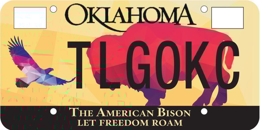 Bison plate designs steal thunder from new state license plate unveiling