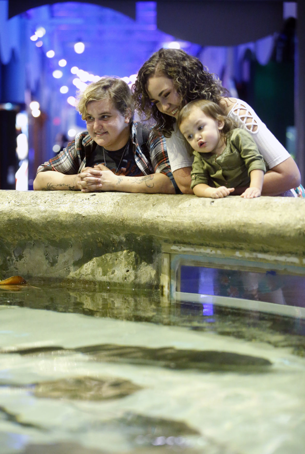 'A long, wild ride': Oklahoma Aquarium marks 15 years of growth ...