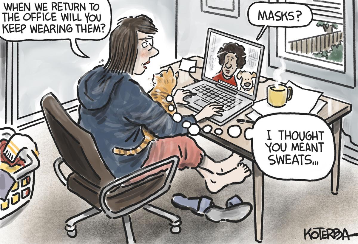 Cartoon: Work from Home or Office?
