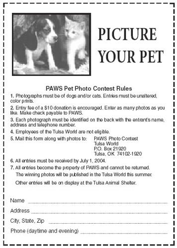 Pet photo contest going to the dogs (cats, etc.)