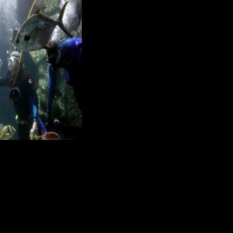 Tulsa ranks in top 10 for family spring break destinations