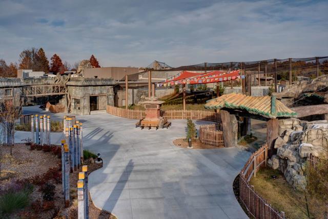 Photo gallery: See the Tulsa Zoo's exhibits including chimpanzees ...