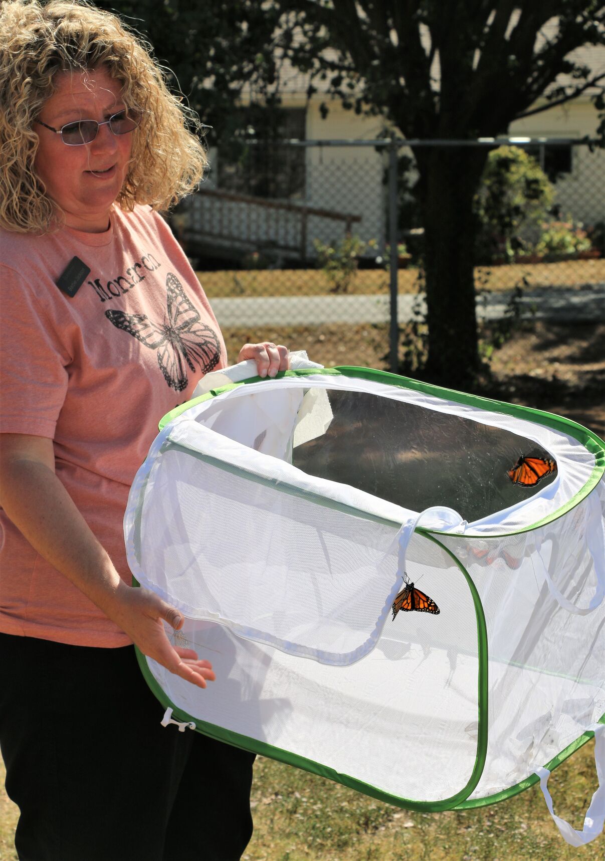 Monarch butterfly release: Life's lessons sometimes come on the wing