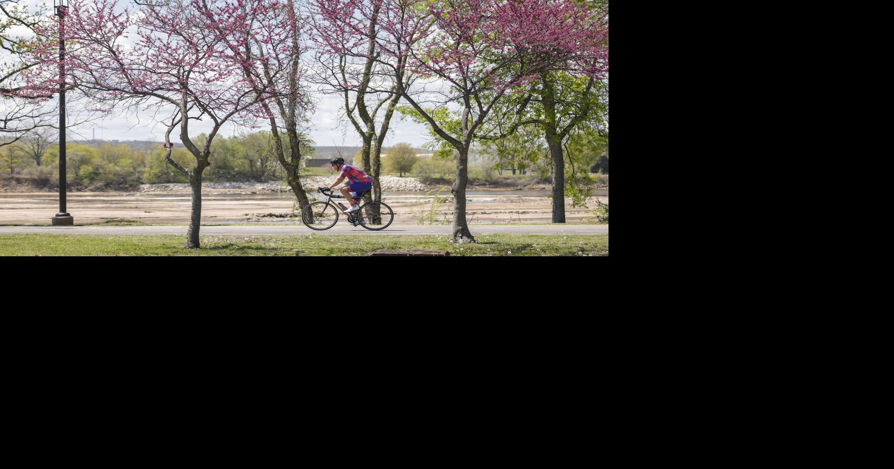 Oklahoma Proven plants for 2024 include redbud, zinnia