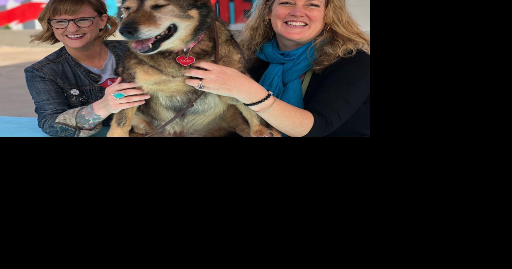 People & Places: Fur Ball to honor Dana Gilpin, Animal Aid