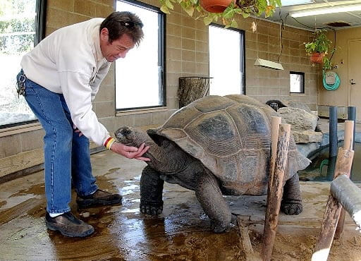 Zoo curator was animals’ advocate