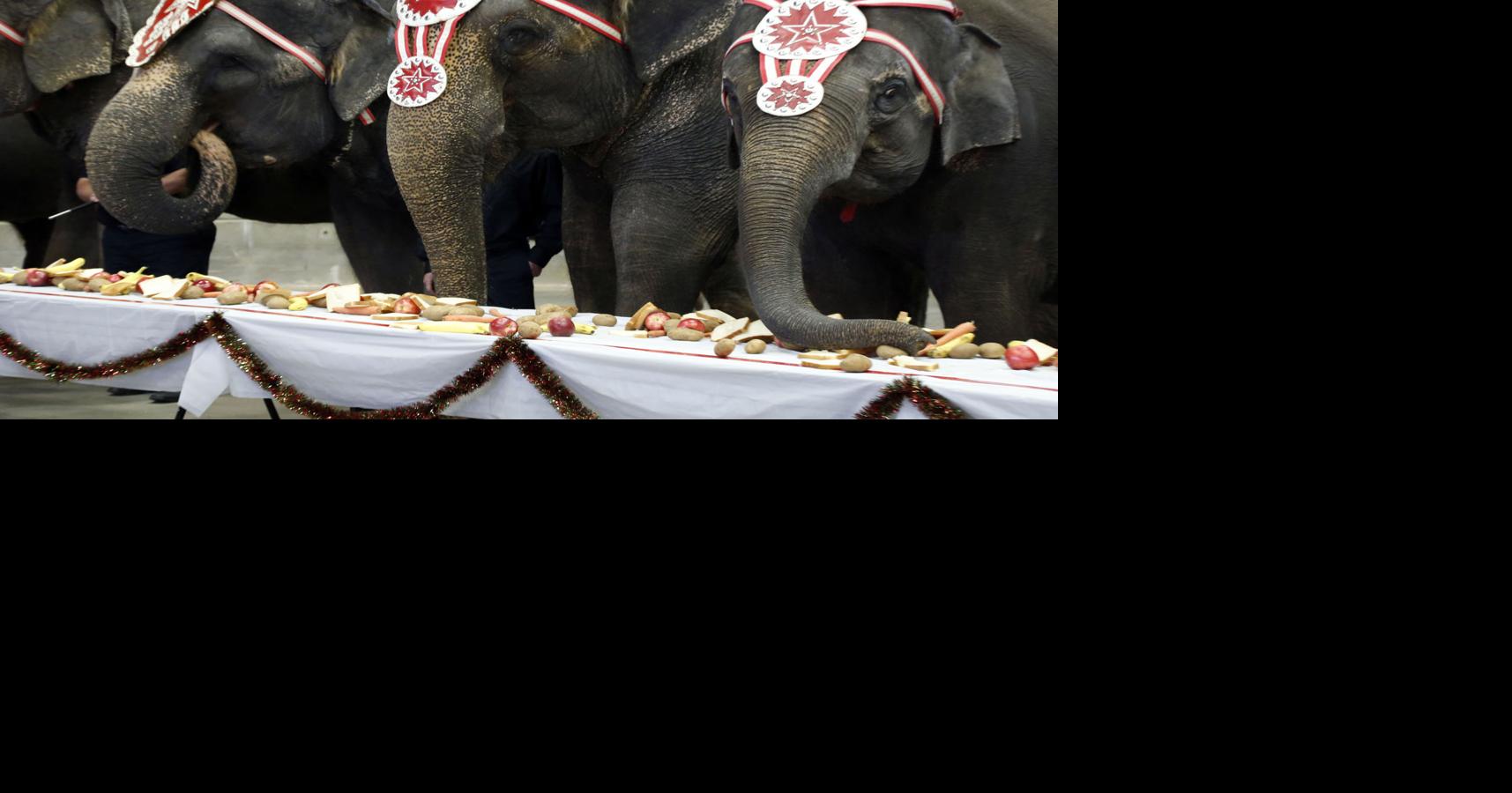 John Klein: Oklahoma's big top tents, circus shows going strong