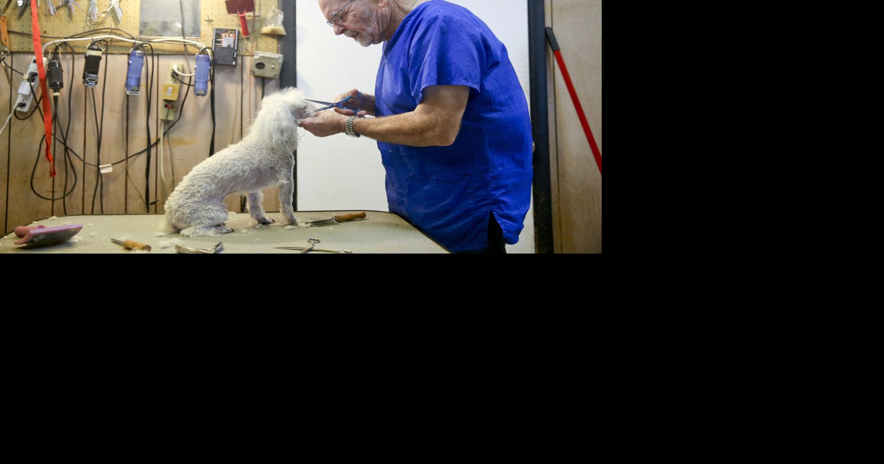 John Klein: Sharon's Poodle Shoppe remains a Brookside landmark after ...