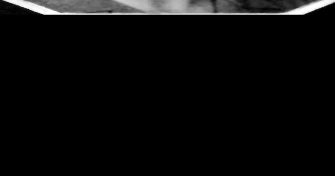 Colleen Francis Tate