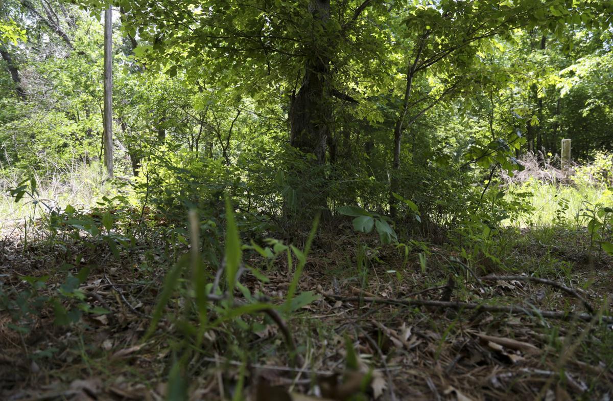 43 Years Ago The Murders Of Three Girl Scouts In Oklahoma Stunned The