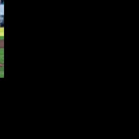Brendon Davis delivers key hit as Drillers win 7th in a row