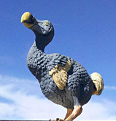 Political Report Notebook: Inhofe gets "Dodo"