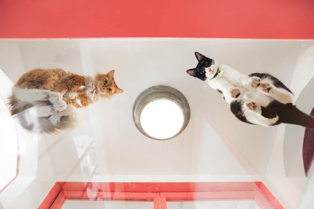 11 new restaurants coming to Tulsa area soon, and 8 new ones