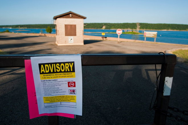 Algae closes Fort Gibson Lake swimming area