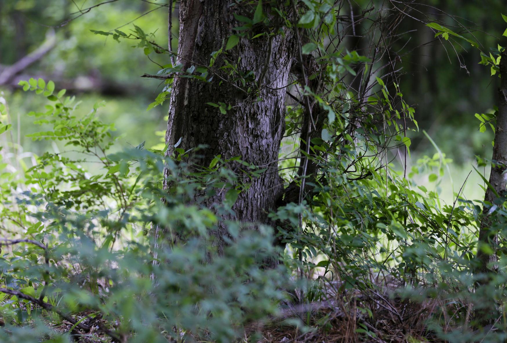 43 Years Ago The Murders Of Three Girl Scouts In Oklahoma Stunned The