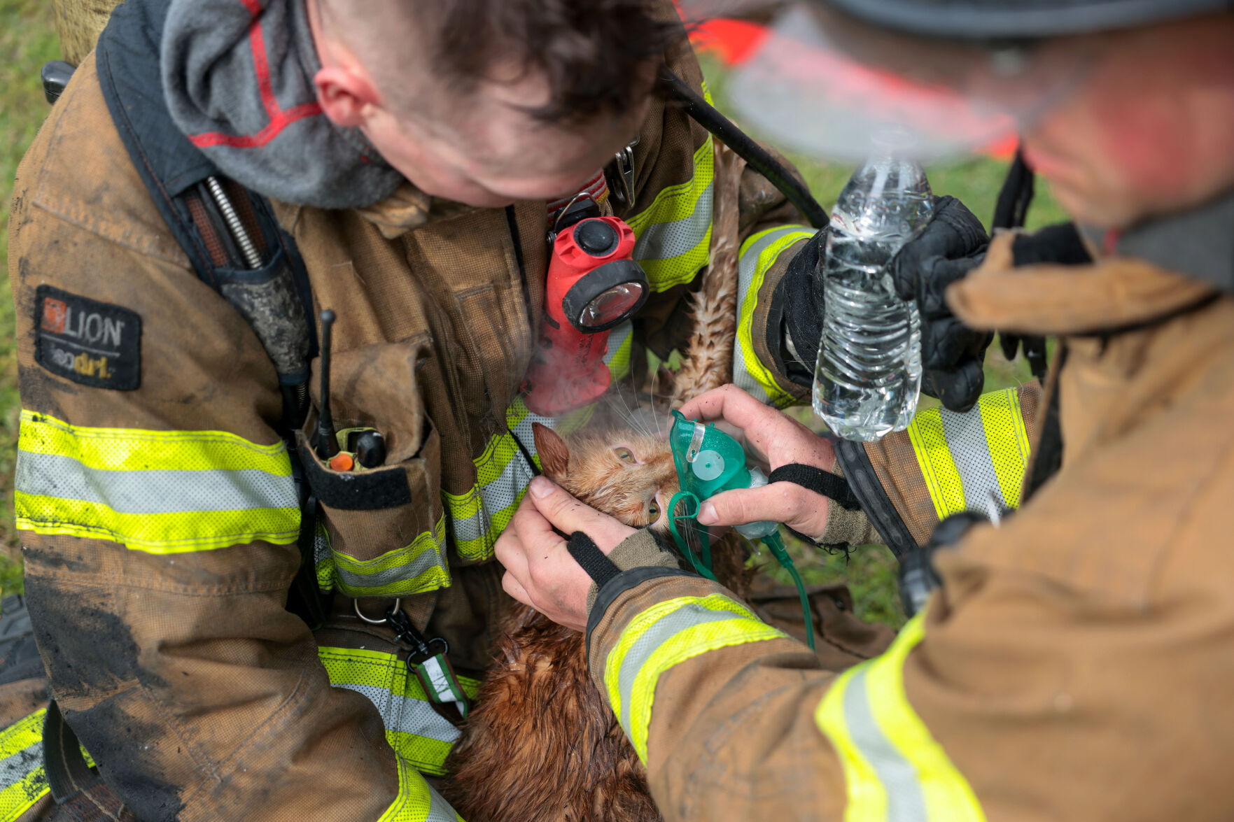Firefighters save cats during blaze at south Tulsa apartment