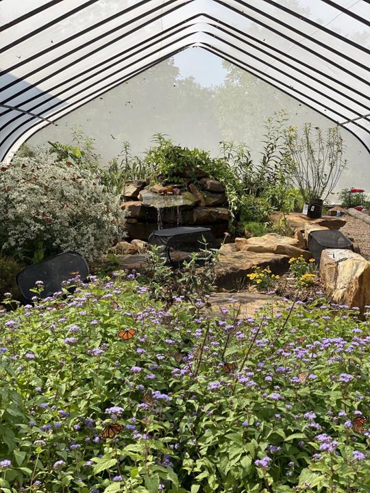 Bixby's Euchee Butterfly Farm helps preserve native species, habitats