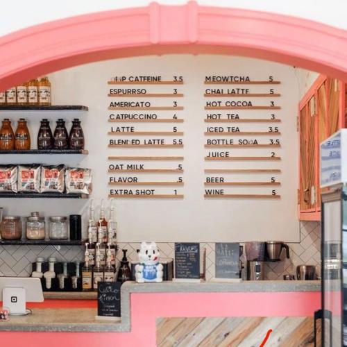 Cat cafe coming to Tulsa after immediate success in OKC