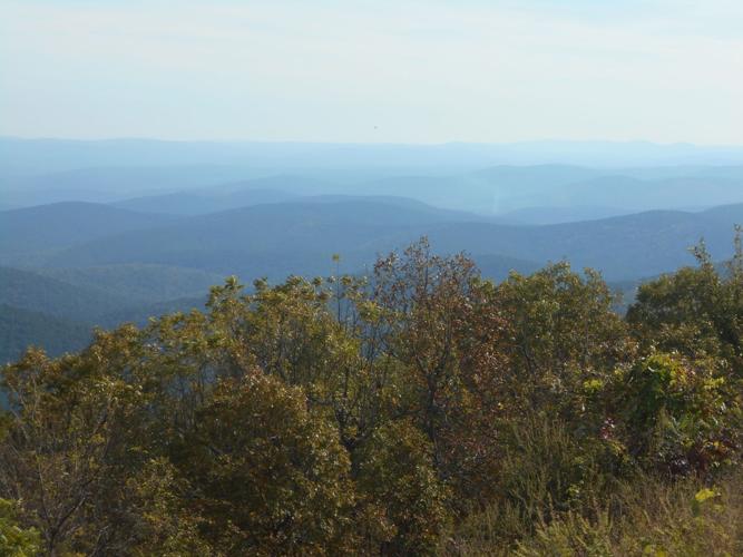 Taking a fall drive along the Talimena National Scenic Byway