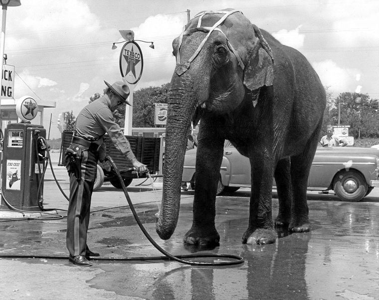 Julie DelCour: The father factor: Can we look the elephant in the eye?