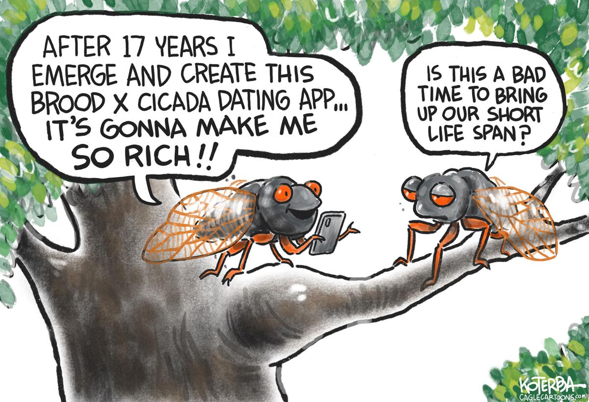 Cartoon: Brood X Cicada Invasion